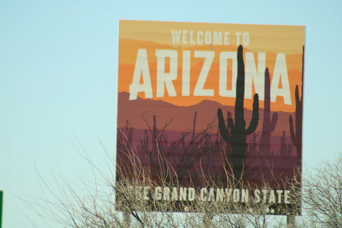 How Arizona Bonus Points Work | Complete Draw Guide | TAGZ Insights